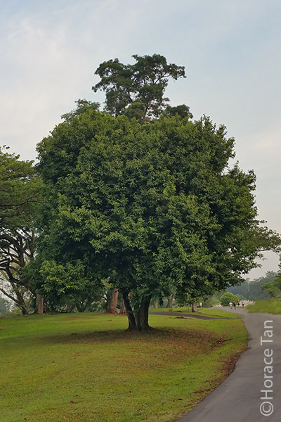ButterflyCircle Checklist
