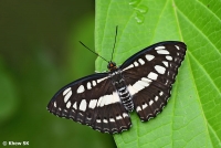 ButterflyCircle Checklist